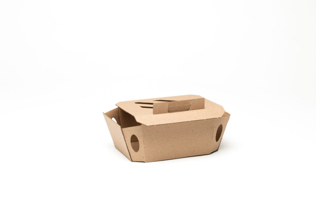 Clamshell carton ECO 1 lb - Paniers PP